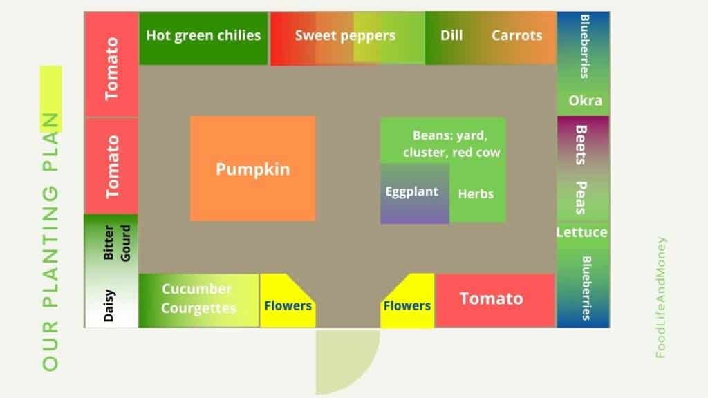 HOME - FoodLifeAndMoney